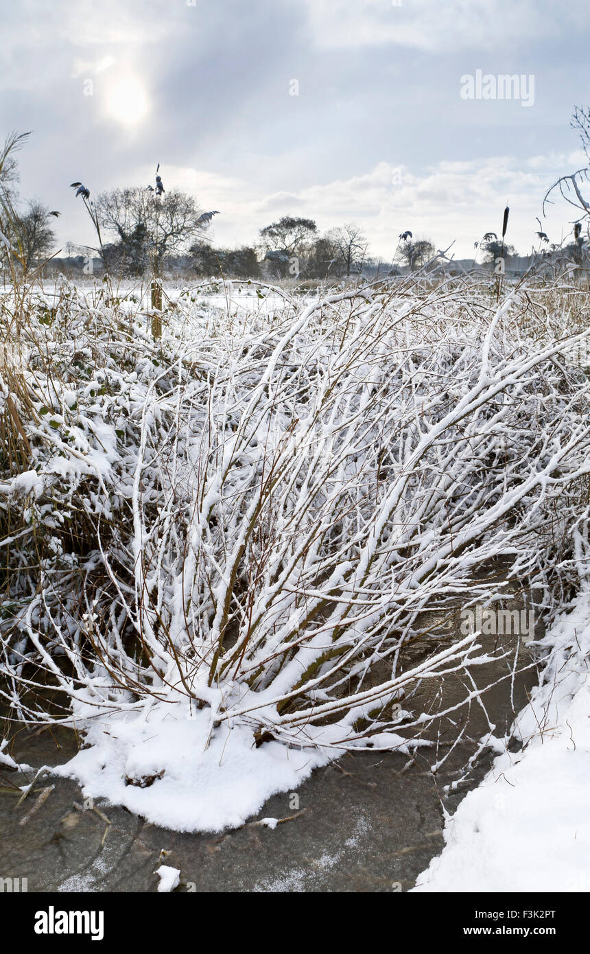 Snow in Norfolk Dyke Stock Photo - Alamy