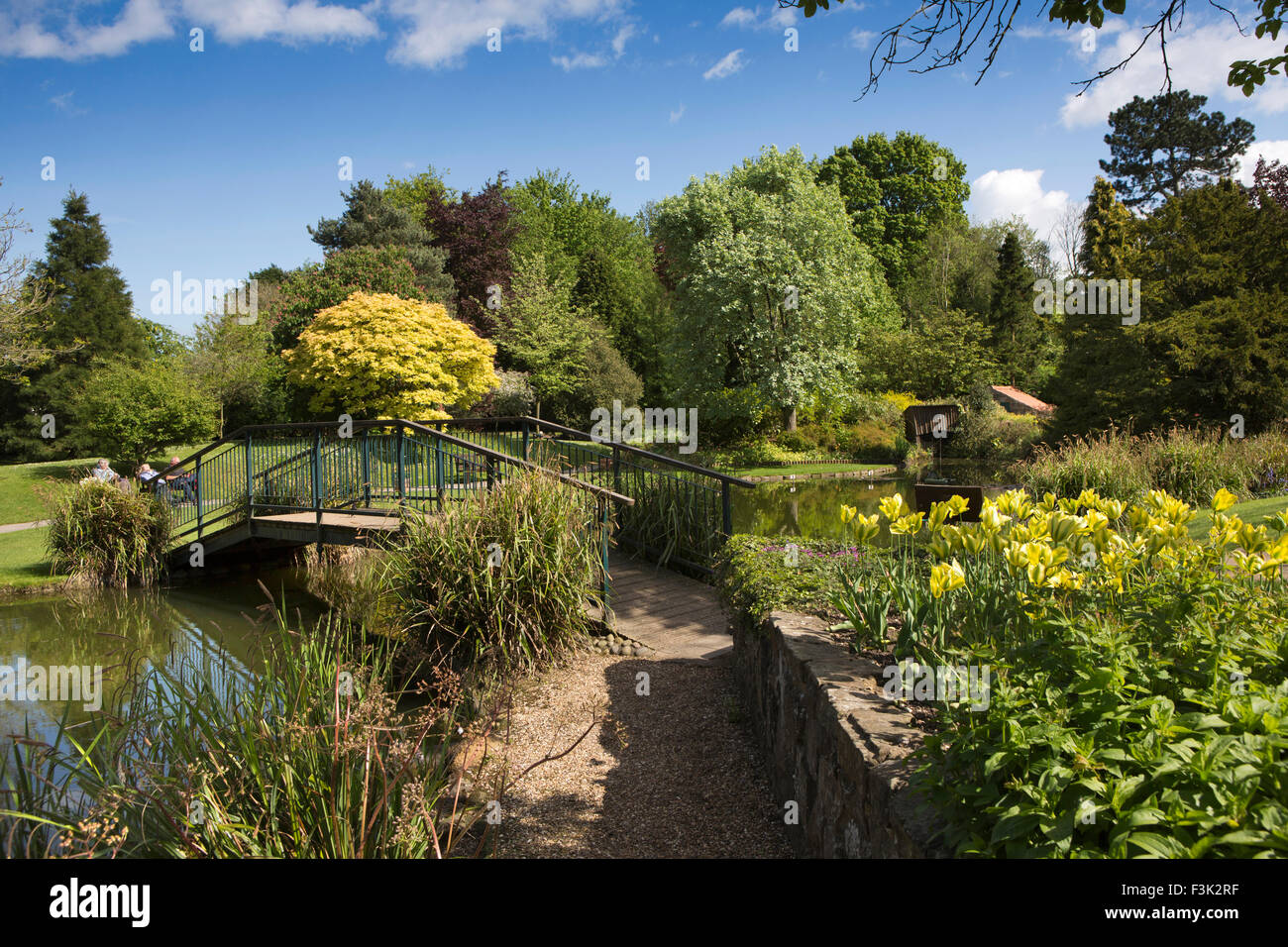 Are Dogs Allowed At Burnby Hall And Gardens