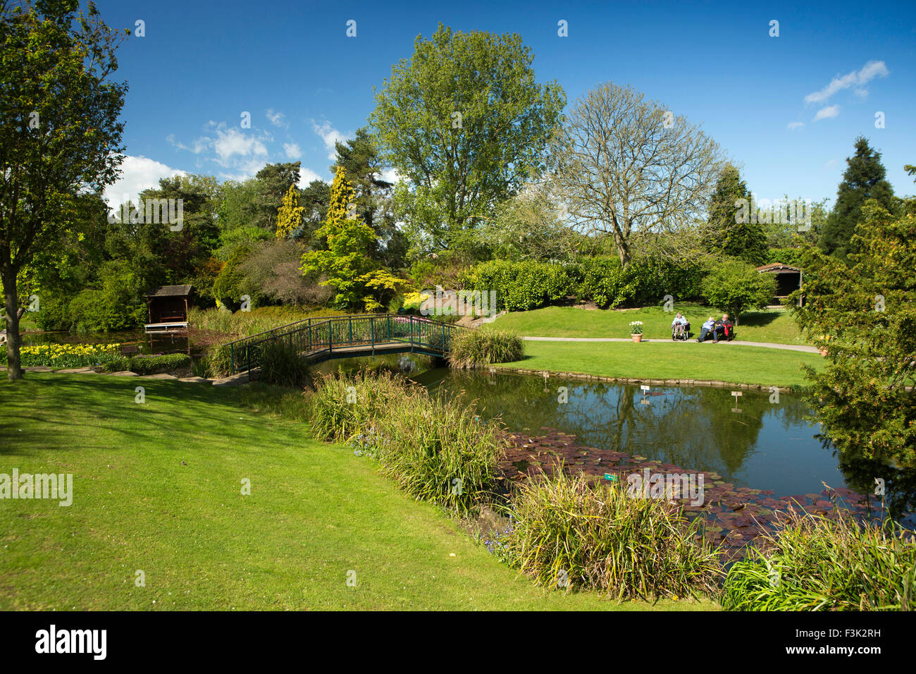 UK, England, Yorkshire East Riding, Pocklington, Burnby Hall Gardens ...