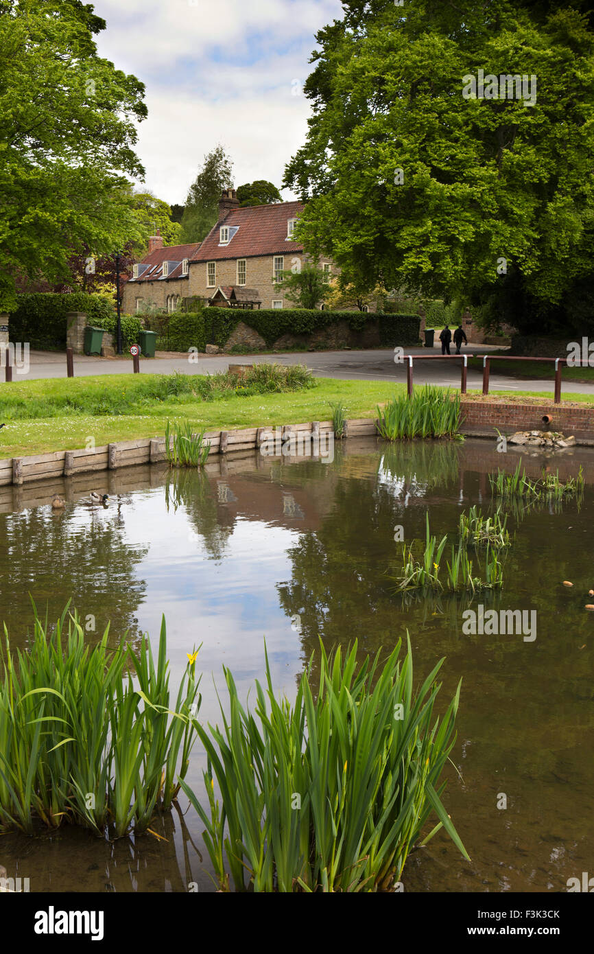 UK, England, Yorkshire East Riding, Brantingham, village pond beside ...