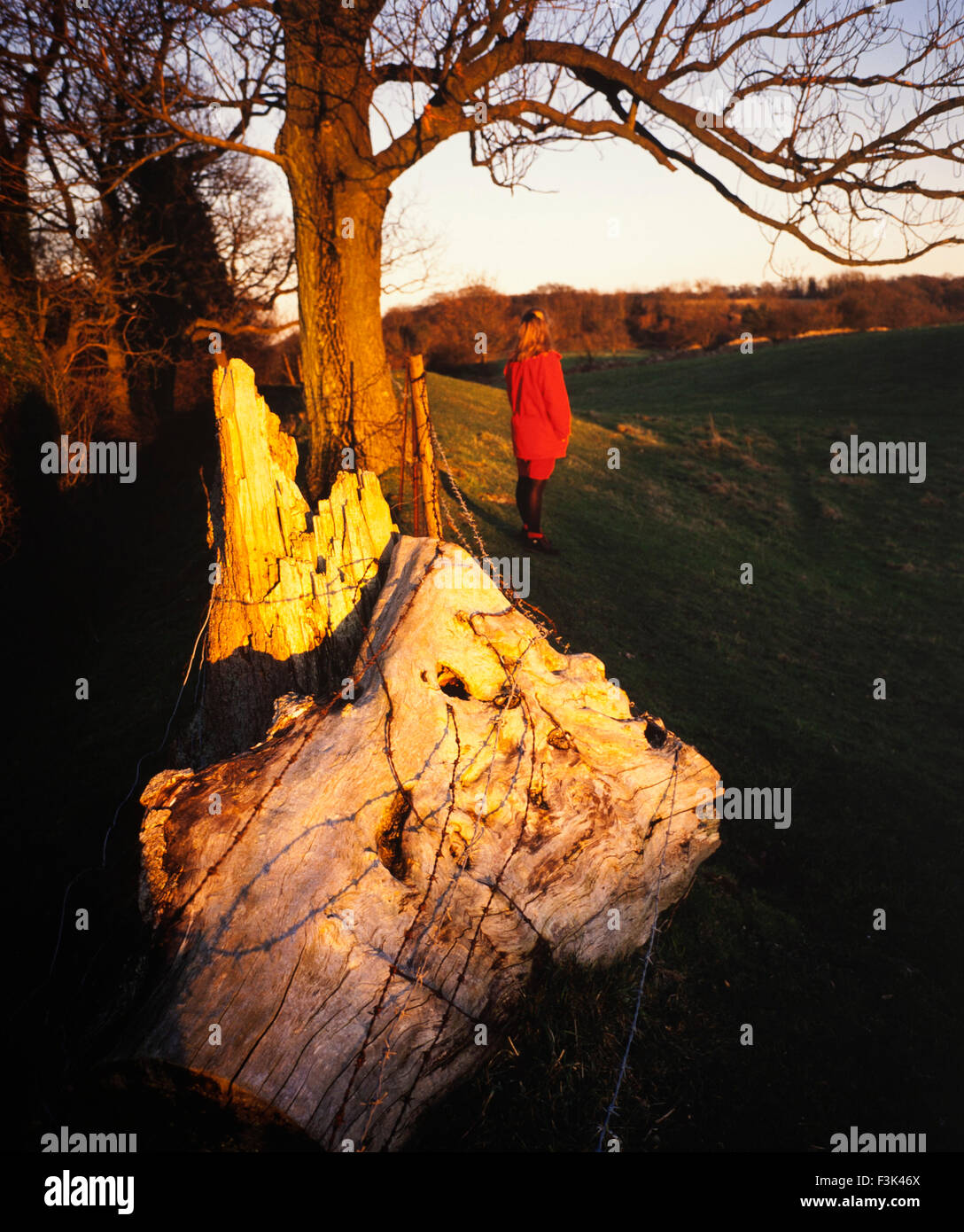Haresfield Beacon, Gloucestershire Stock Photo - Alamy