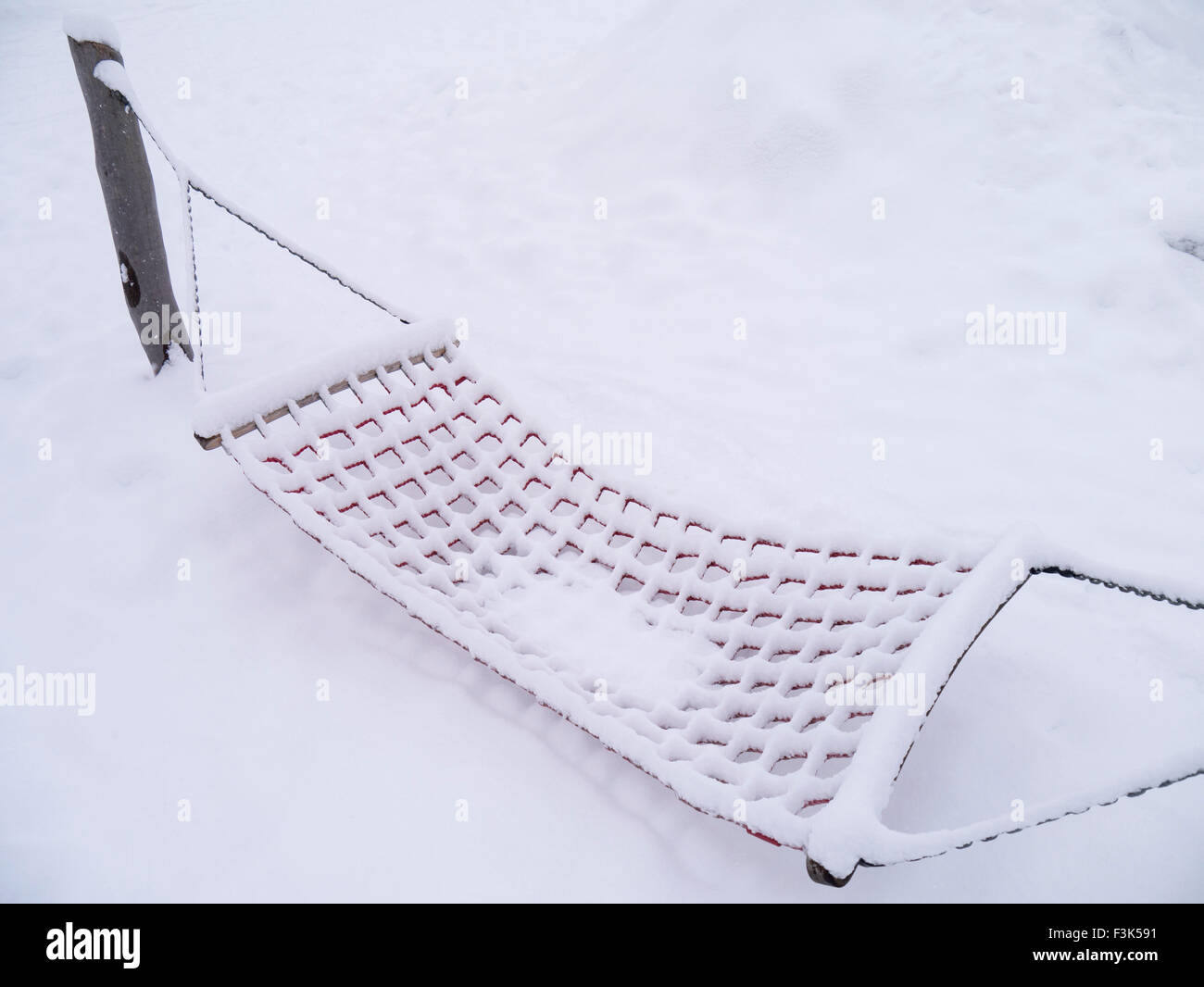 Snow covered hammock Stock Photo - Alamy