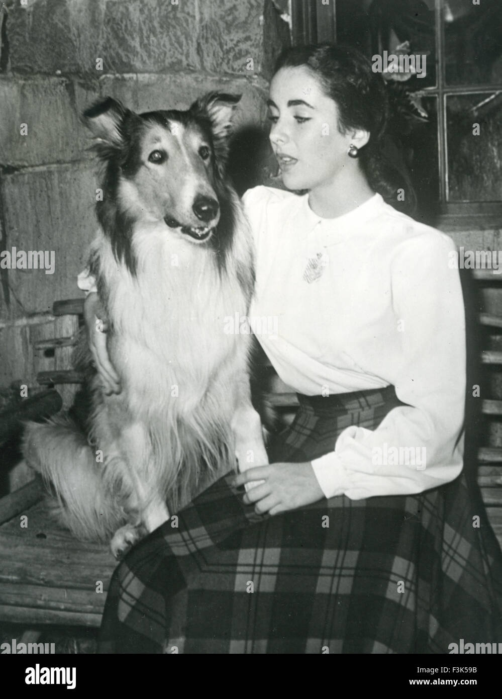 Elizabeth taylor lassie come home hi-res stock photography and images ...