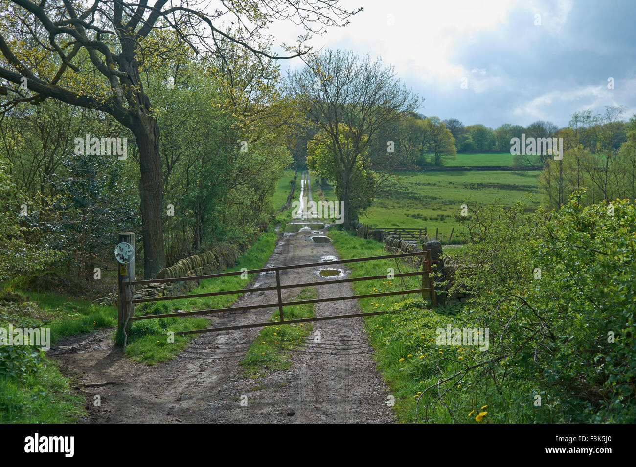 Rough Lane near to Wharncliffe Moor on the Barnsley Boundary Walk ...