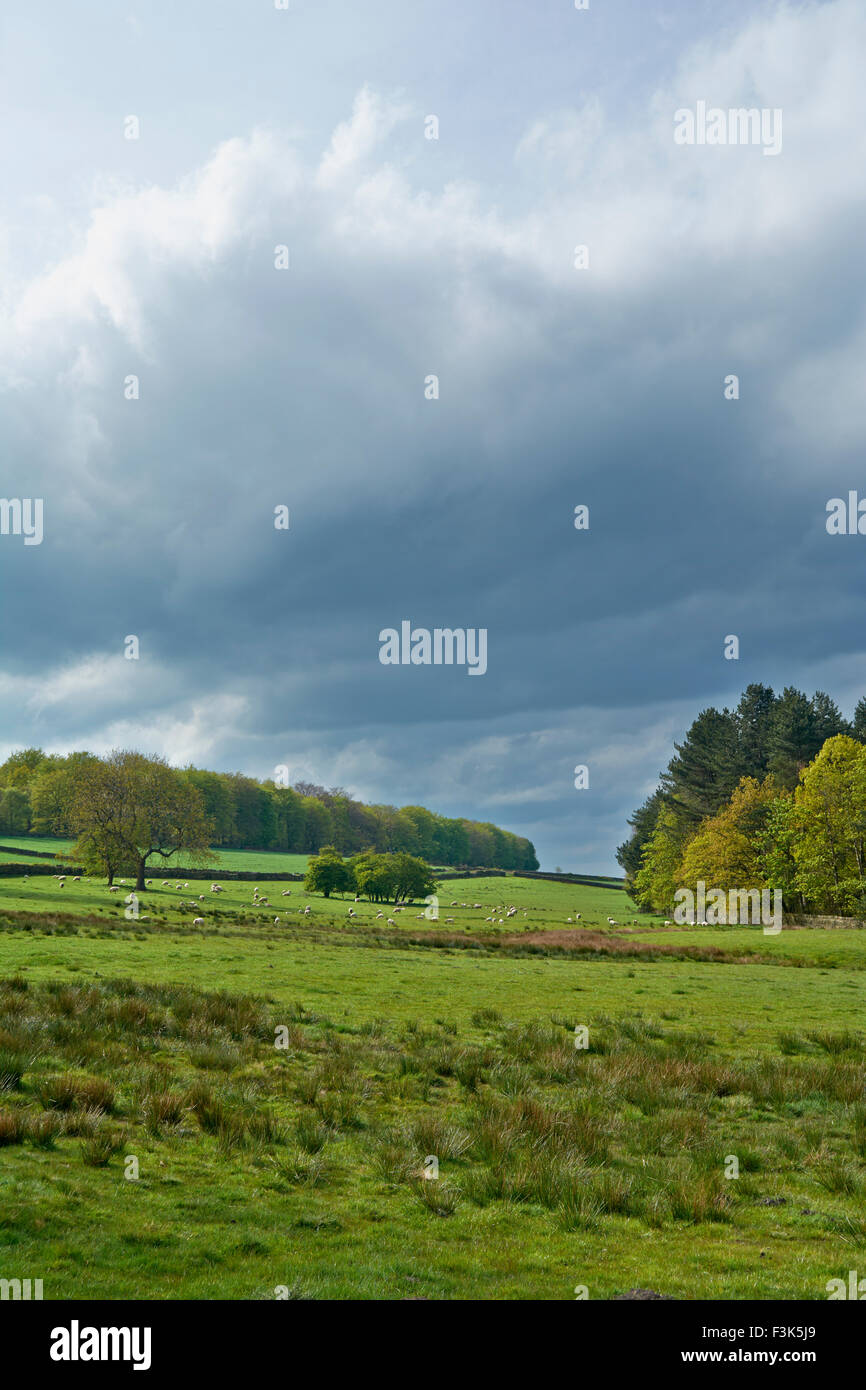 Round walk hi-res stock photography and images - Alamy