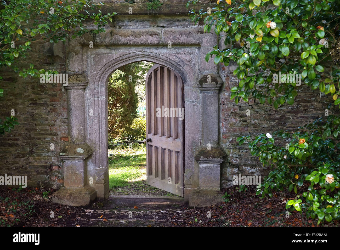 Tregothnan Estate gardens, Cornwall, famous for its camellias and ...