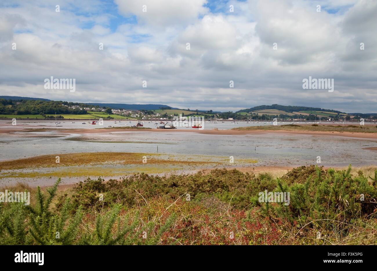 Dawlish Warren Nature Reserve, Devon, England Stock Photo - Alamy