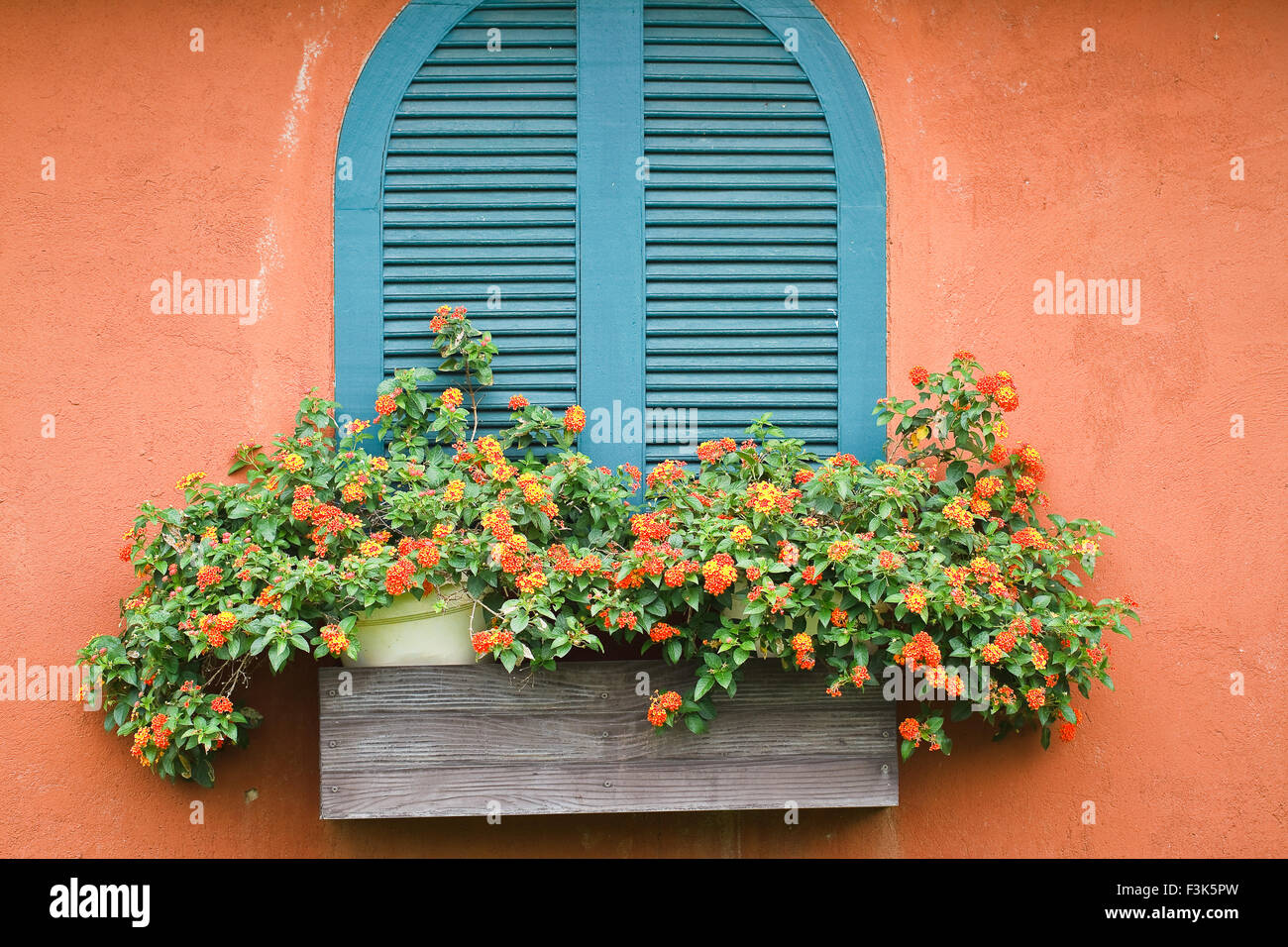 Window with flowers Stock Photo - Alamy