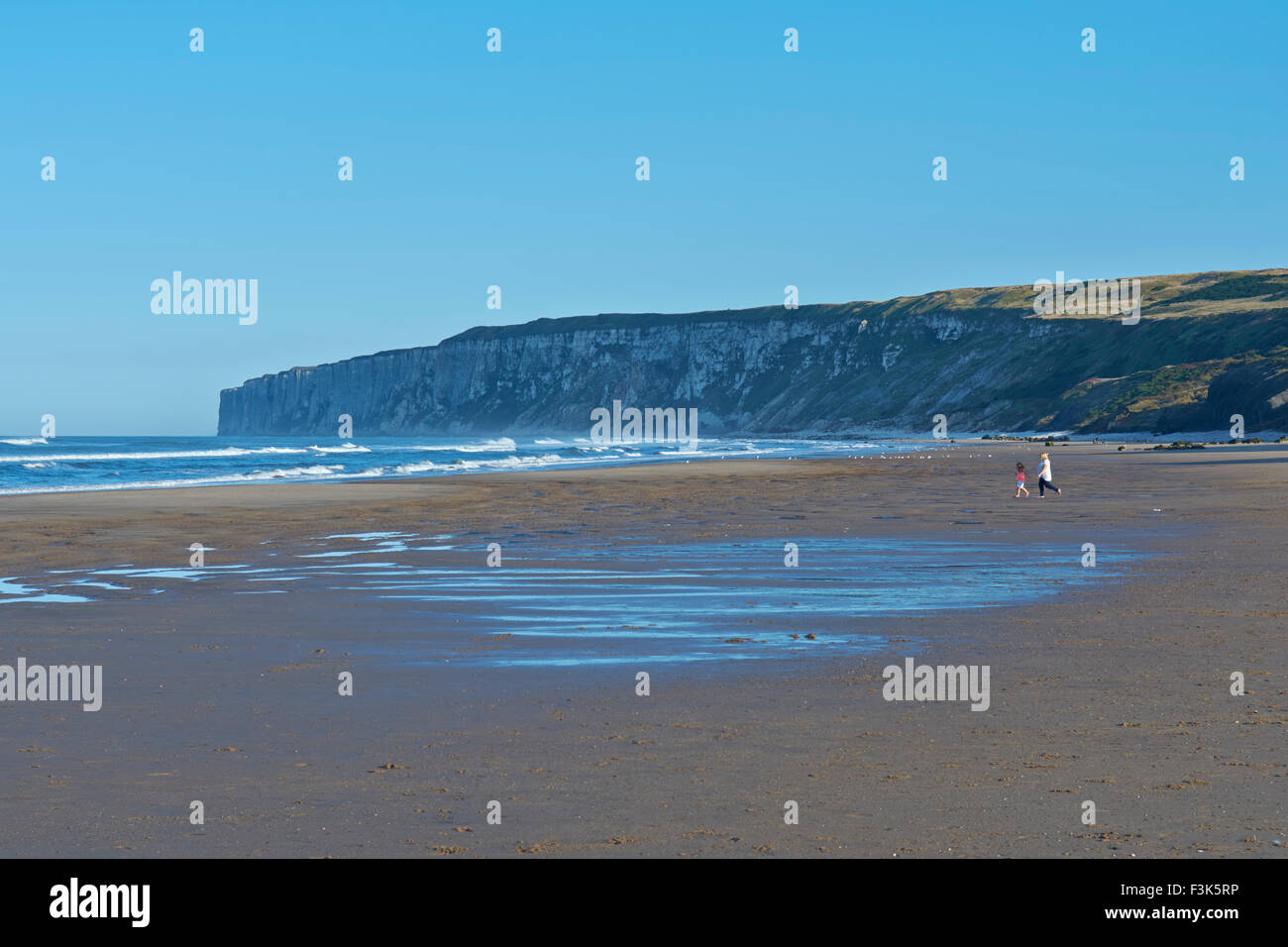 Bempton cliffs england hi-res stock photography and images - Alamy