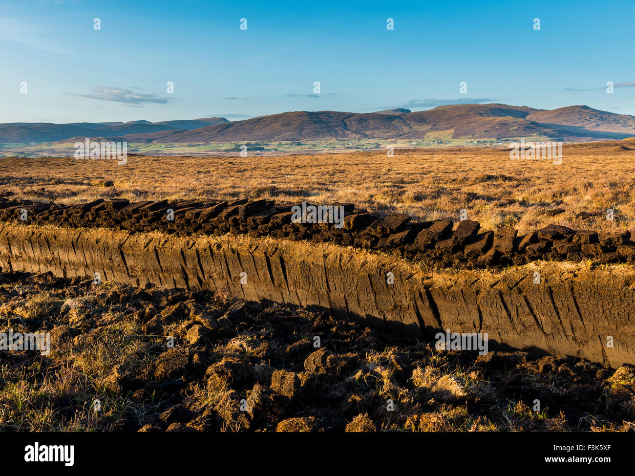 Peat and moor hi-res stock photography and images - Alamy