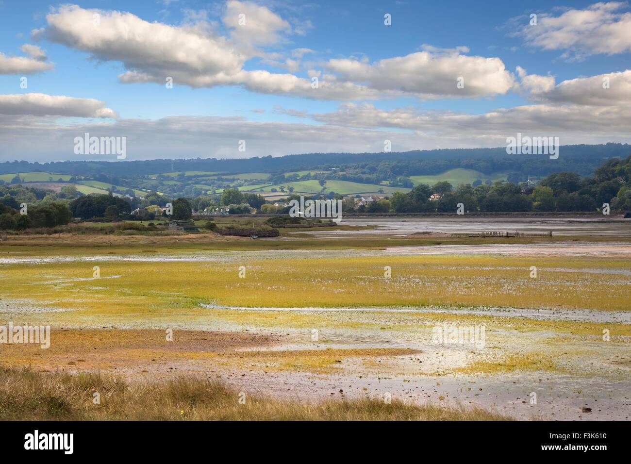 Dawlish Warren Nature Reserve, Devon, England Stock Photo - Alamy