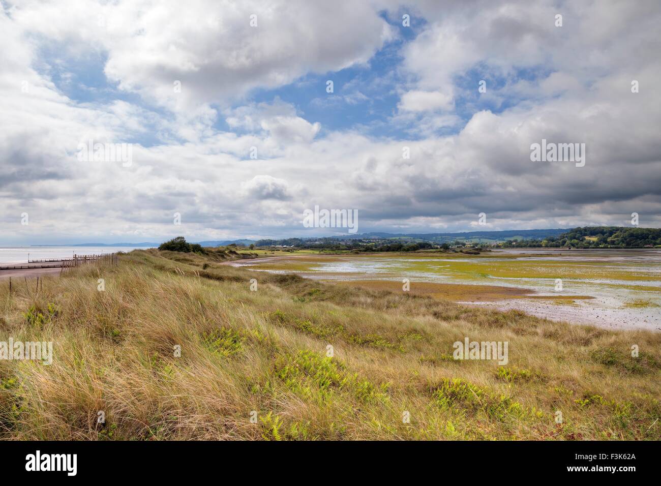Dawlish Warren Nature Reserve, Devon, England Stock Photo - Alamy
