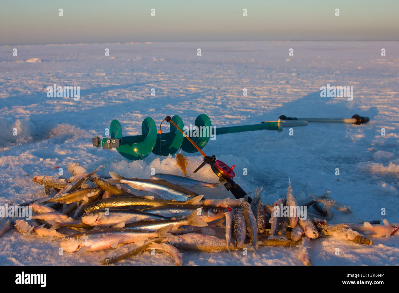 fishing on the Baltic Sea Stock Photo - Alamy