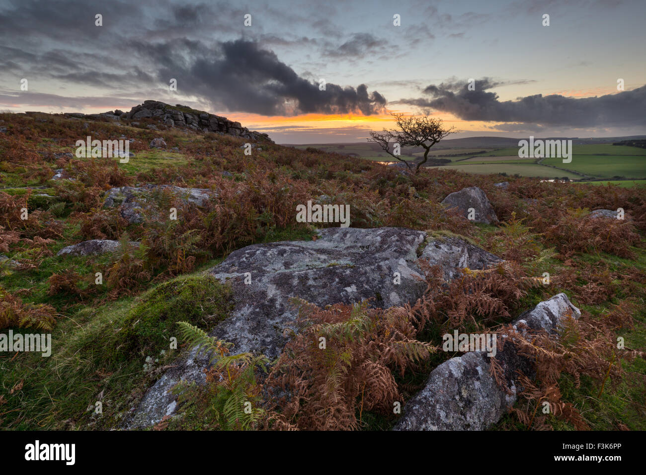 Grassy moor hi-res stock photography and images - Alamy
