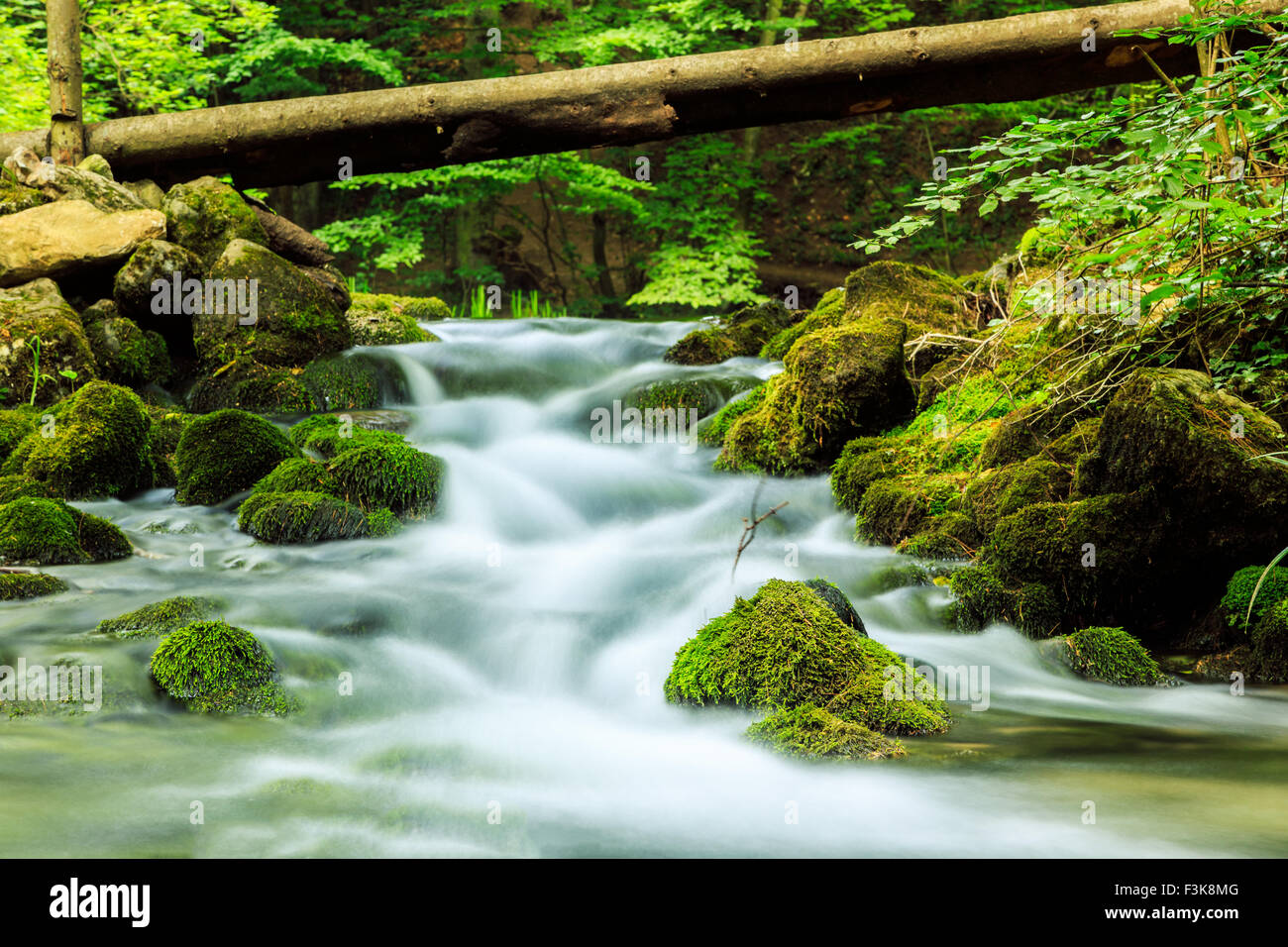 River deep in mountain forest in Cheile Nerei national park -Romania ...