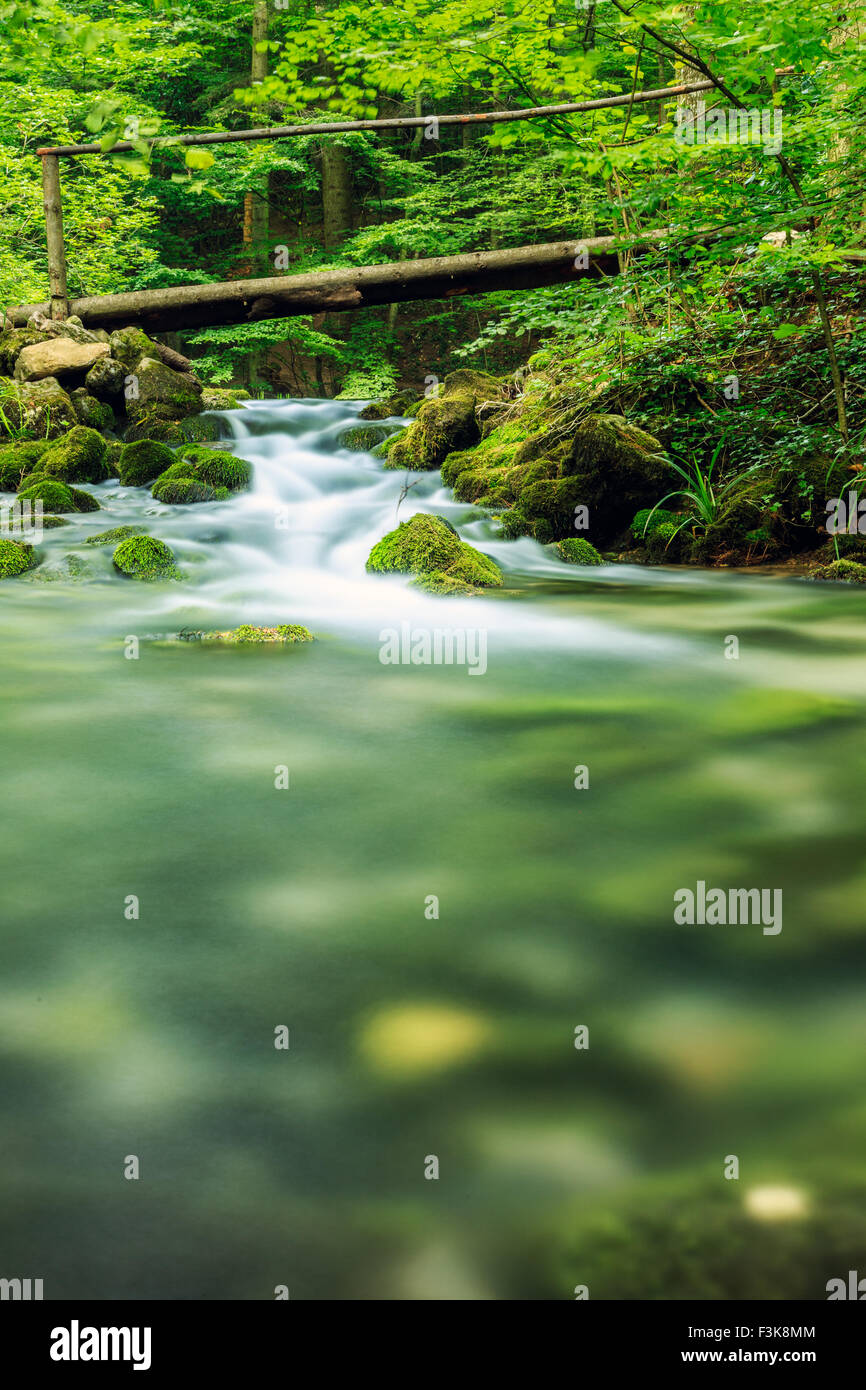 River deep in mountain forest in Cheile Nerei national park -Romania ...