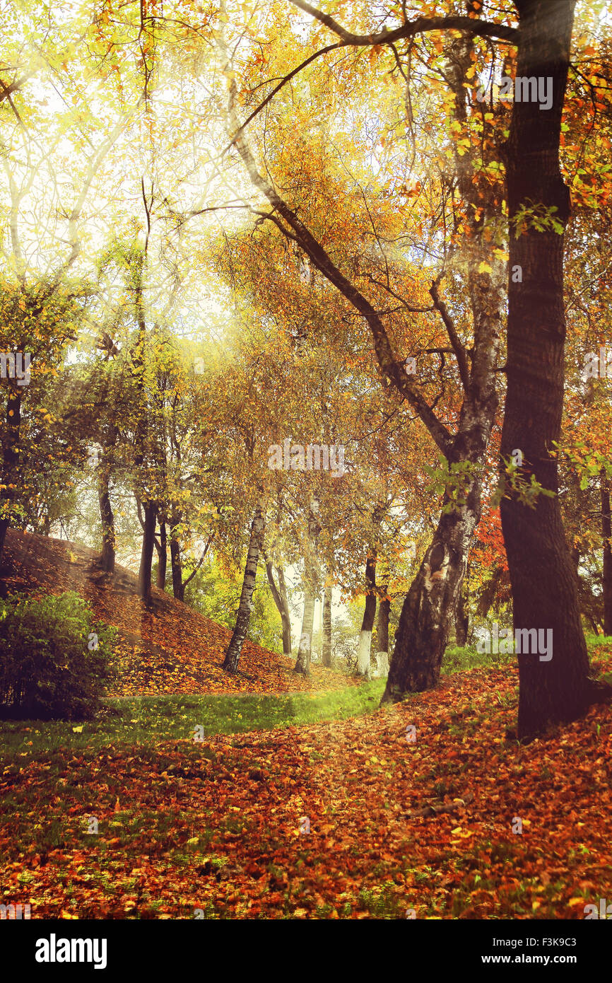 Soft rays hi-res stock photography and images - Alamy