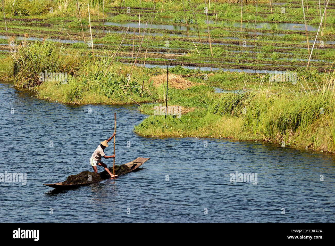 Male collecting seaweed hi-res stock photography and images - Alamy