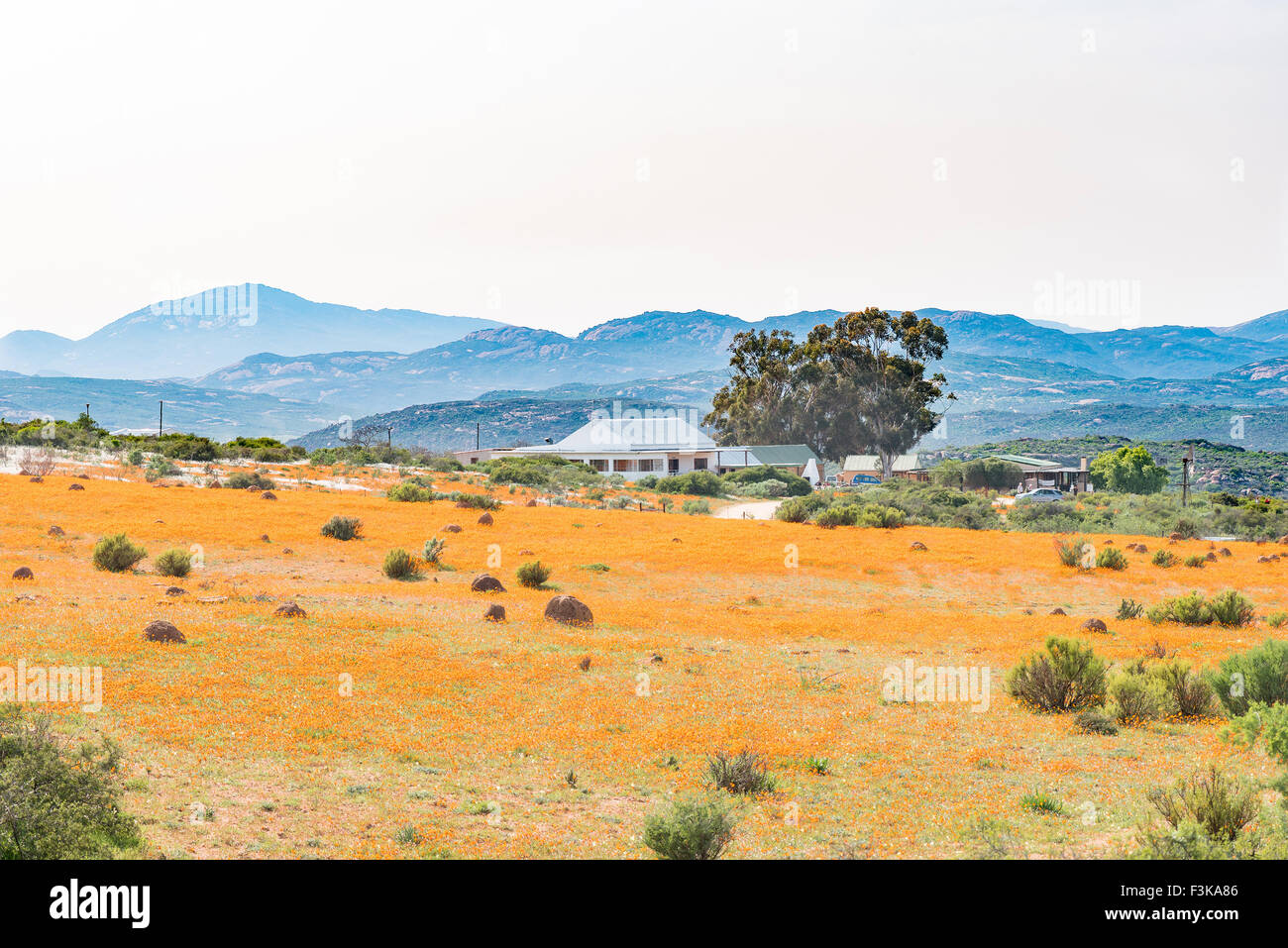 SKILPAD, SOUTH AFRICA - AUGUST 18, 2015: The restaurant and offices of ...