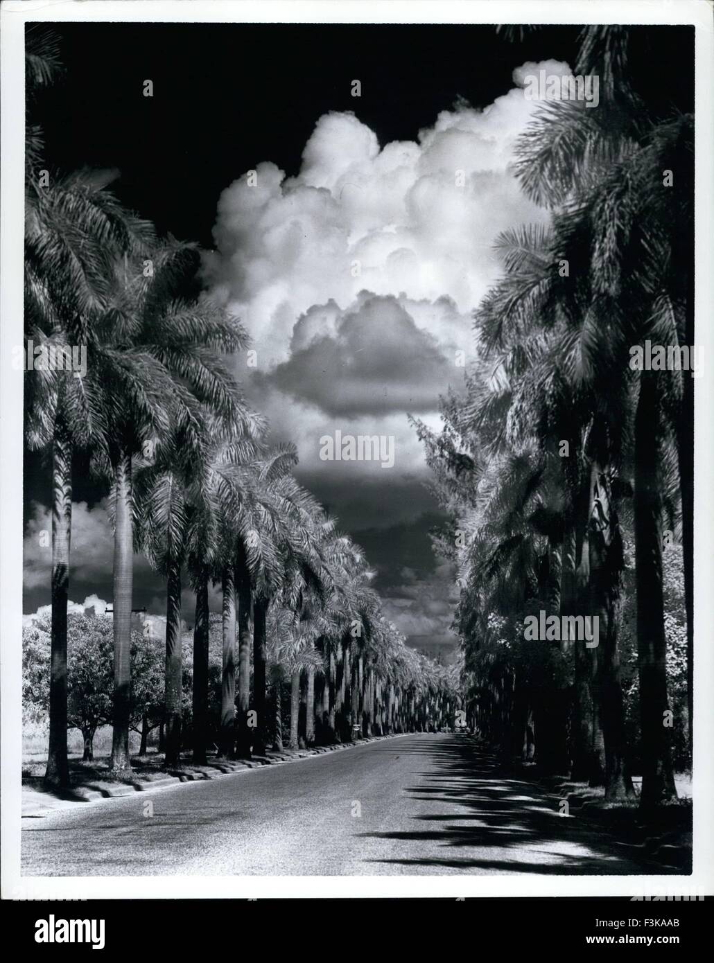 1952 - The influence of Thomas A. Edison is seen throughout Fort Myers ...