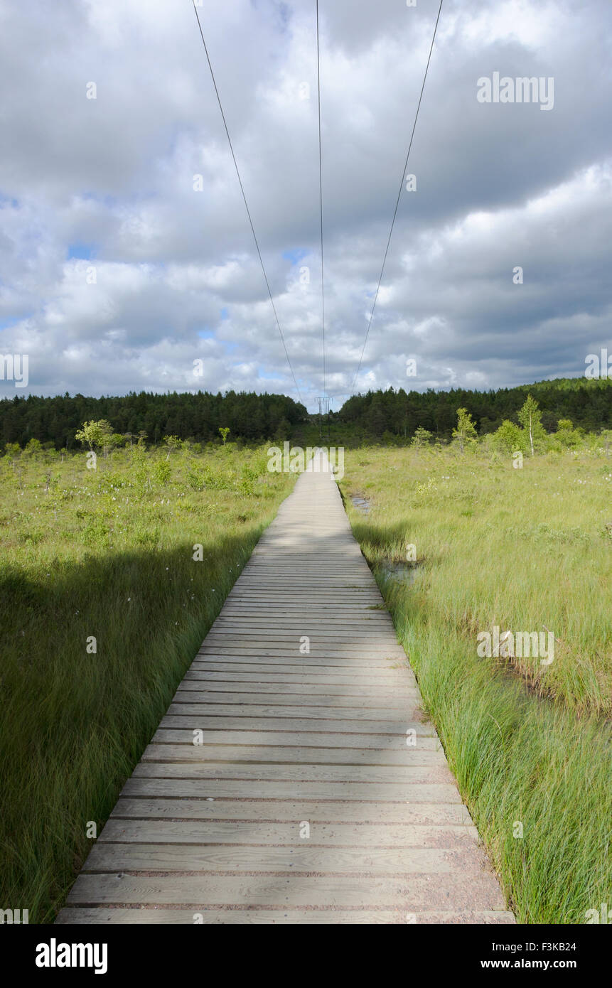 Footbridge over the marshes and marsh sun shines Stock Photo - Alamy
