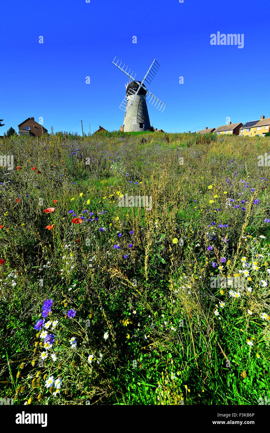 Whitburn mill, mill, corn mill, flour mill, wind, sails, ancient ...