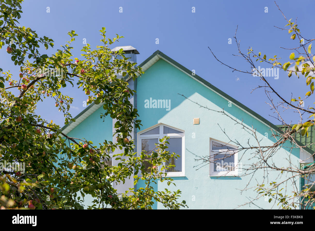 House among the trees Stock Photo - Alamy