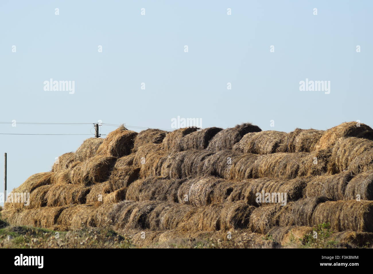 The Haystacks in the field. Summer haymaking Stock Photo - Alamy