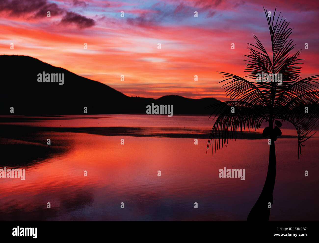 a beautiful bright orange sunset with coconut tree Stock Photo - Alamy