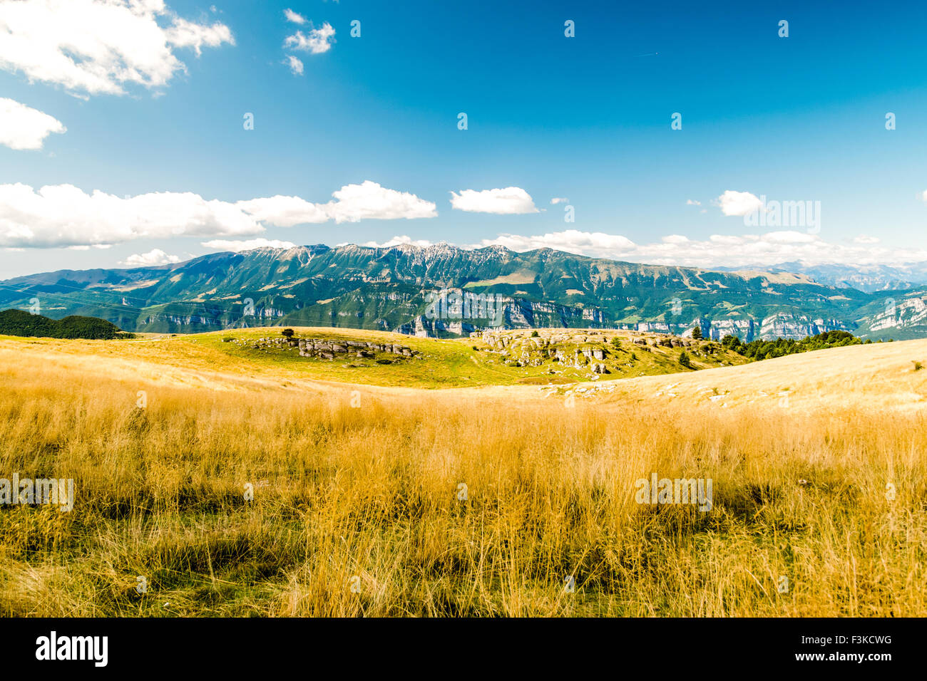 Sinuous Lines High Resolution Stock Photography and Images - Alamy