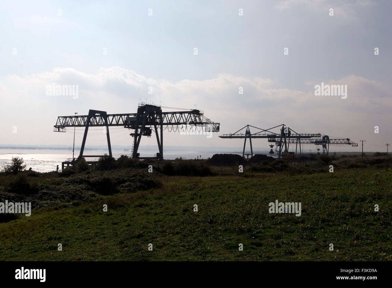 Thurrock Thameside Nature Park, Essex, UK Stock Photo - Alamy