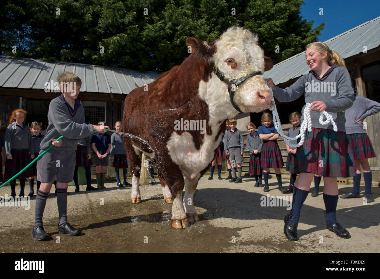 The Elms School, Malvern, a co-educational, independent, boarding ...