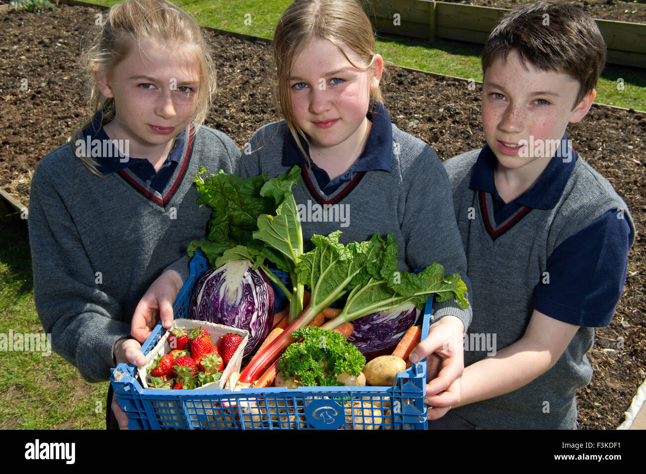The Elms School, Malvern, a co-educational, independent, boarding ...