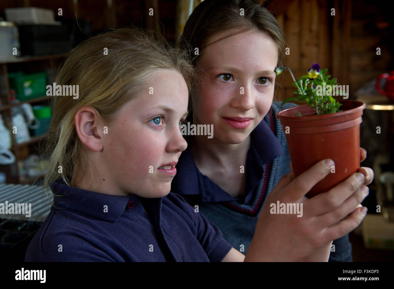 The Elms School, Malvern, a co-educational, independent, boarding ...