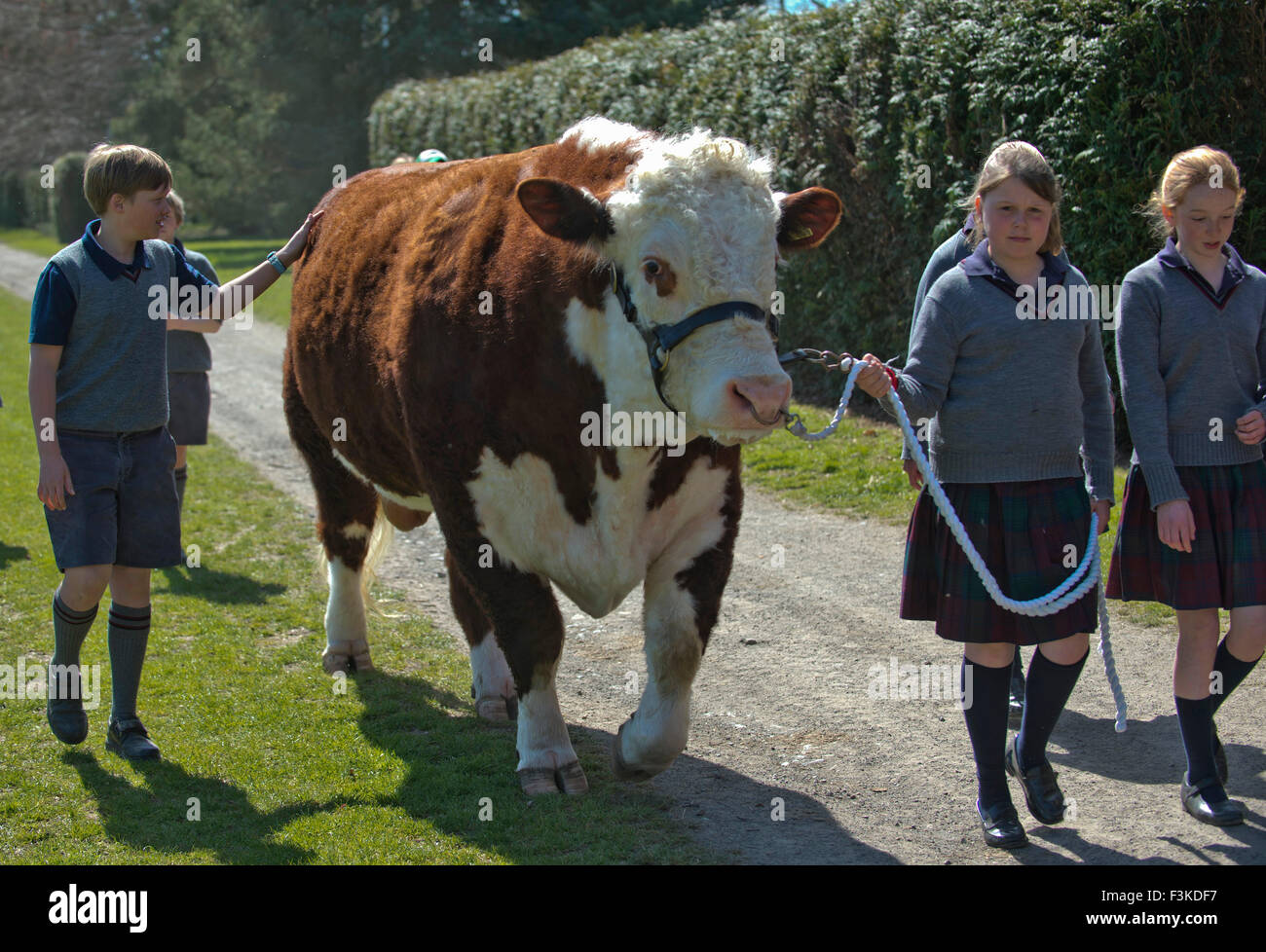 The Elms School, Malvern, a co-educational, independent, boarding ...