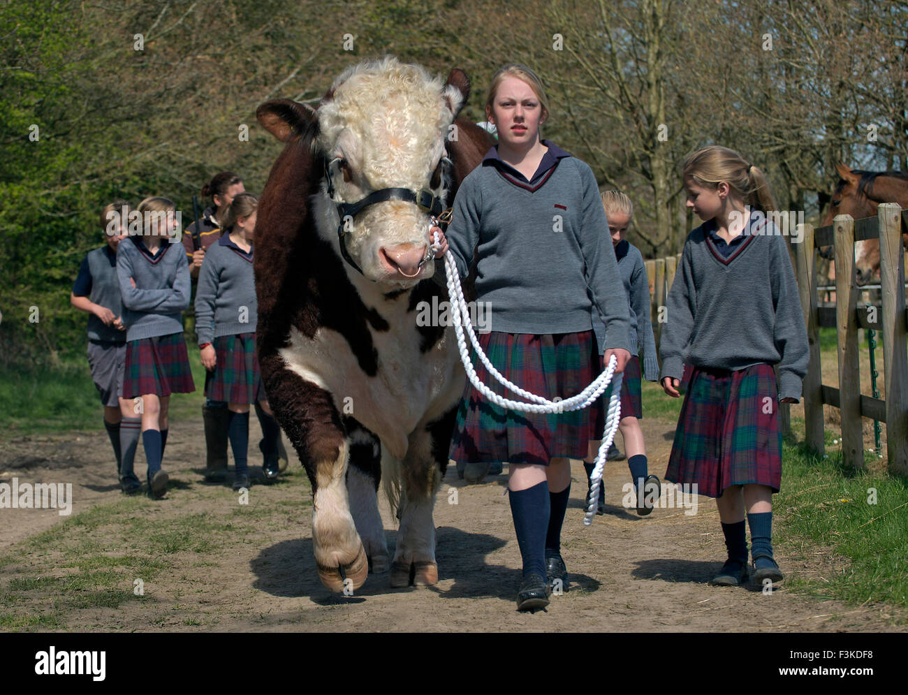The Elms School, Malvern, a co-educational, independent, boarding ...