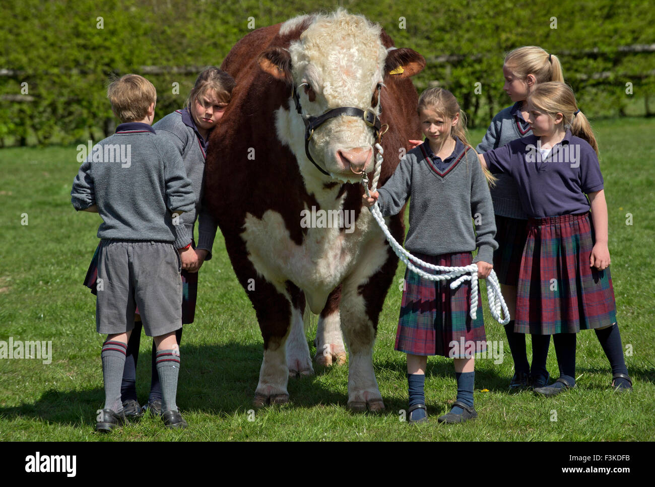 The Elms School, Malvern, a co-educational, independent, boarding ...