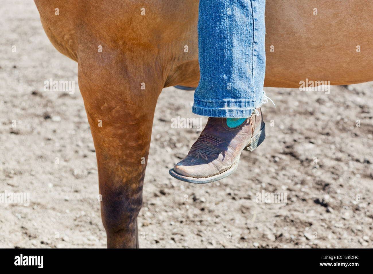 A close up of a girl's boot hanging off the side of her horse while ...