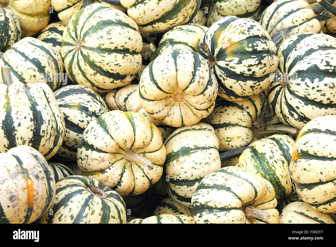 Farmers market gourds hi-res stock photography and images - Alamy