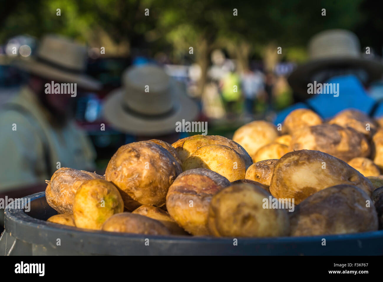 Manheim, Pennsylvania, USA. Lancaster county, last of the Fall fairs ...
