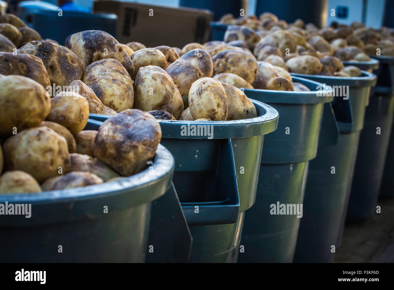 Manheim, Pennsylvania, USA. Lancaster county, last of the Fall fairs ...