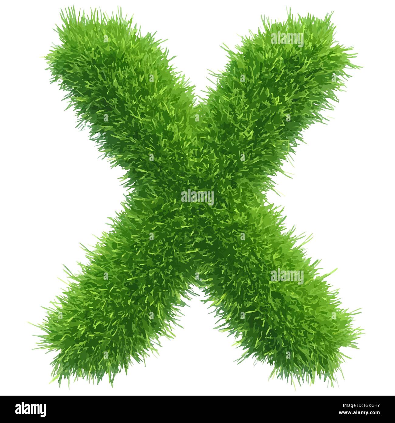 Vector small grass letter x on white background Stock Vector Image ...