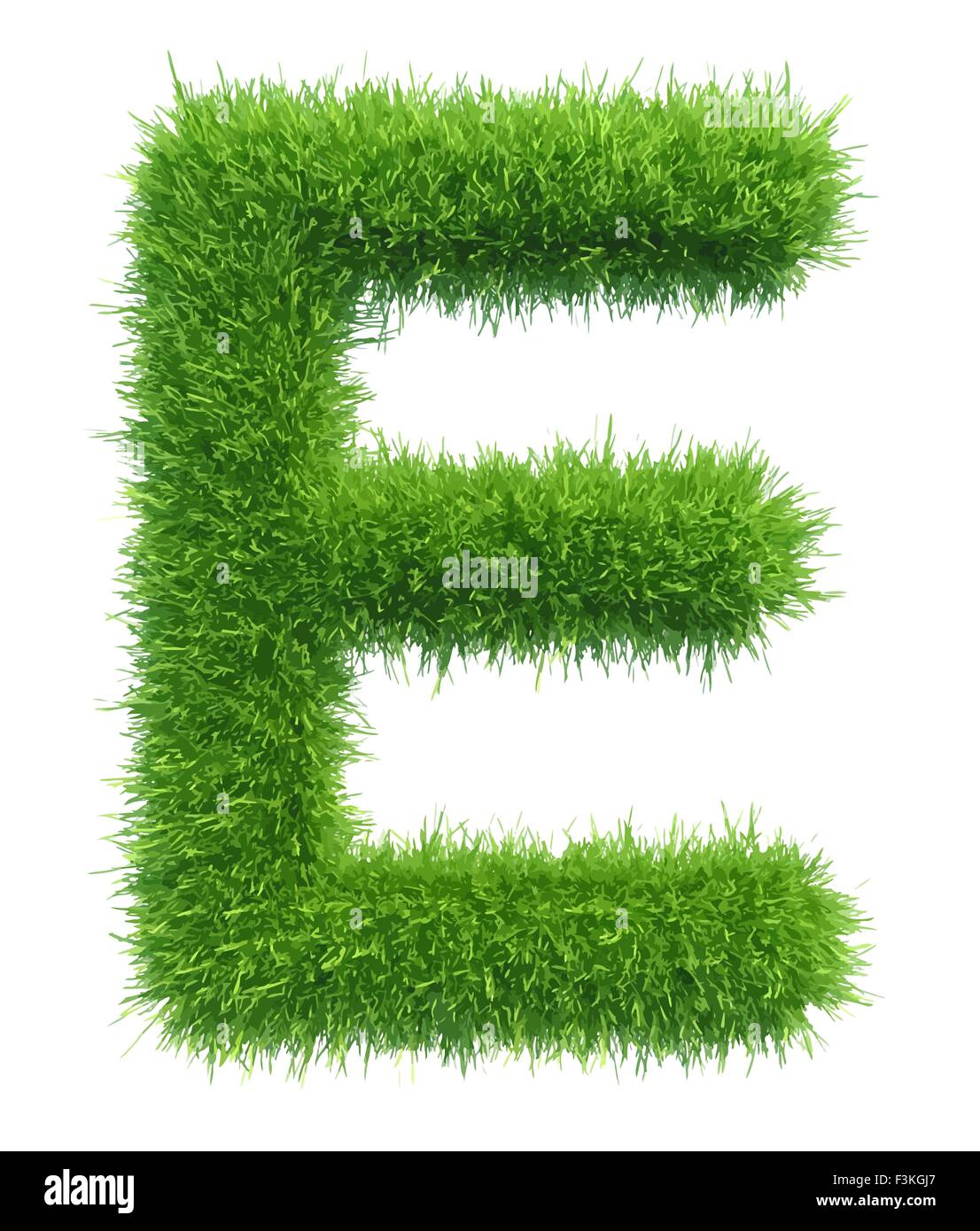 Vector capital letter E from grass on white background Stock Vector ...
