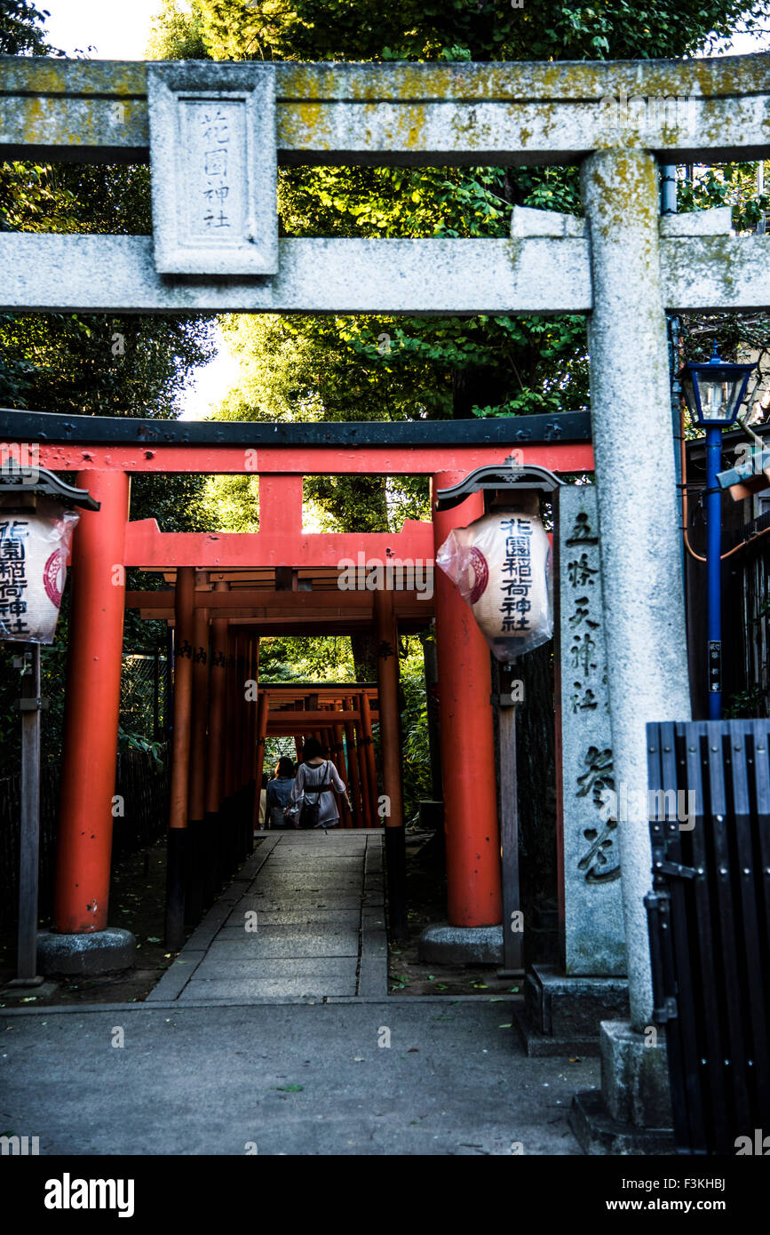 Hanazono Inari Shrine,Ueno Park,Taito-Ku,Tokyo,Japan Stock Photo - Alamy