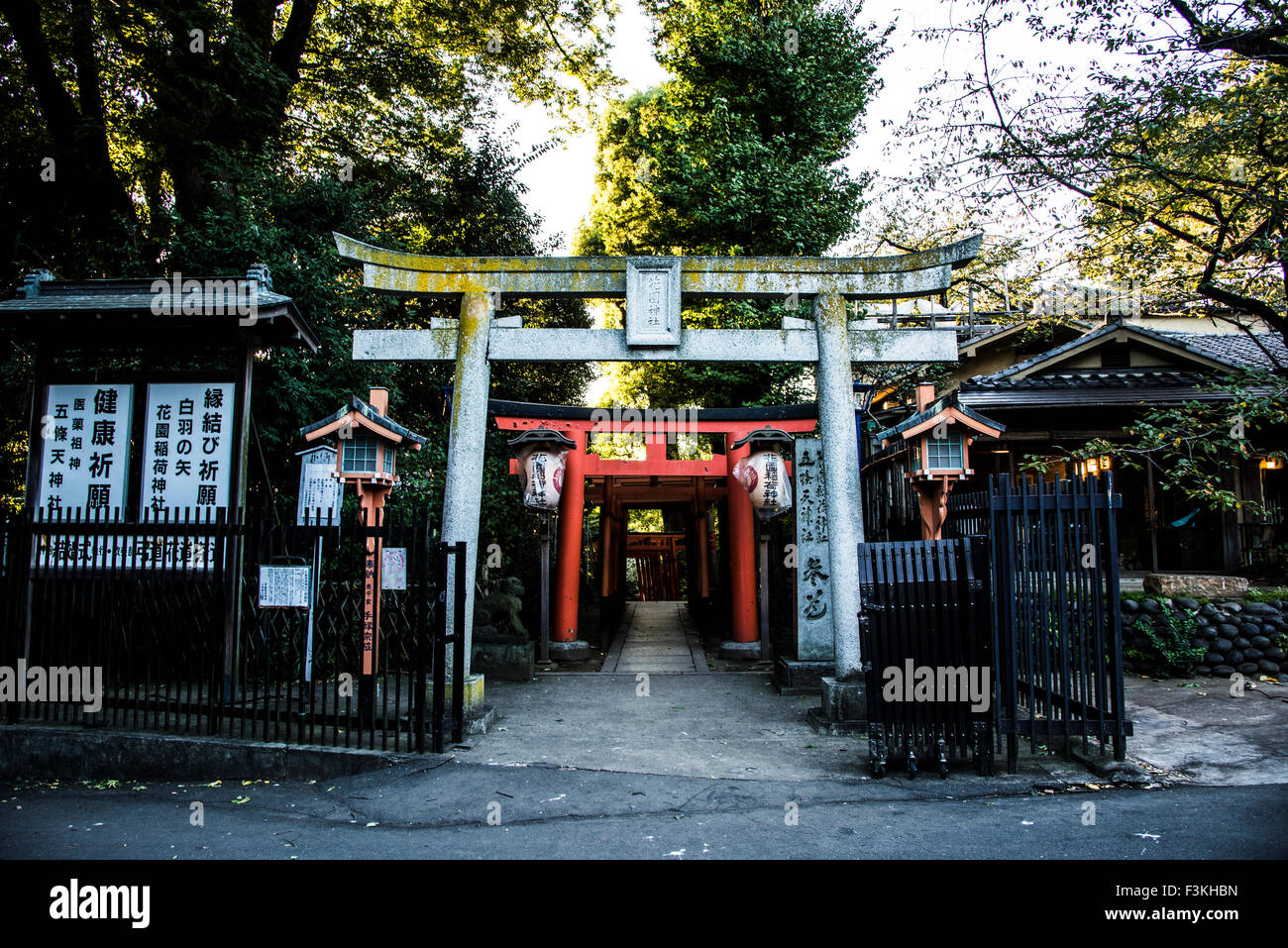 Hanazono Inari Shrine,Ueno Park,Taito-Ku,Tokyo,Japan Stock Photo - Alamy
