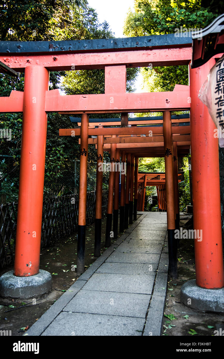 Hanazono Inari Shrine,Ueno Park,Taito-Ku,Tokyo,Japan Stock Photo - Alamy