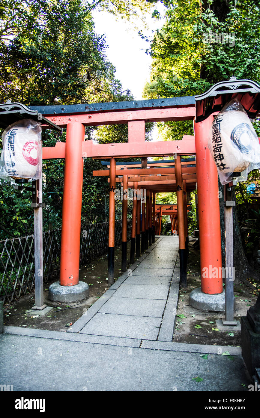 Hanazono Inari Shrine,Ueno Park,Taito-Ku,Tokyo,Japan Stock Photo - Alamy