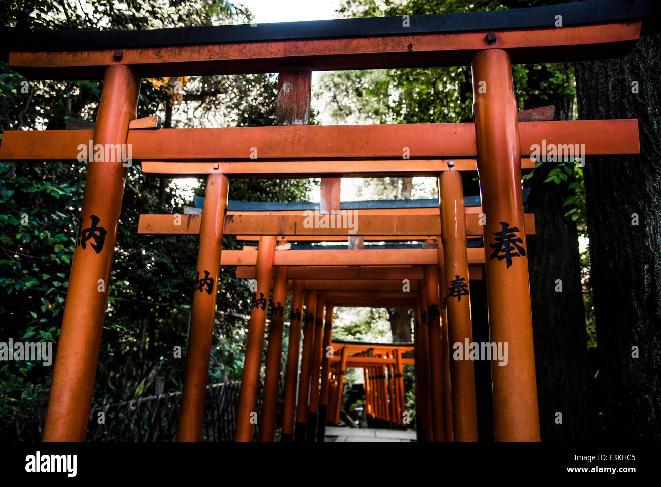 Hanazono Inari Shrine,Ueno Park,Taito-Ku,Tokyo,Japan Stock Photo - Alamy