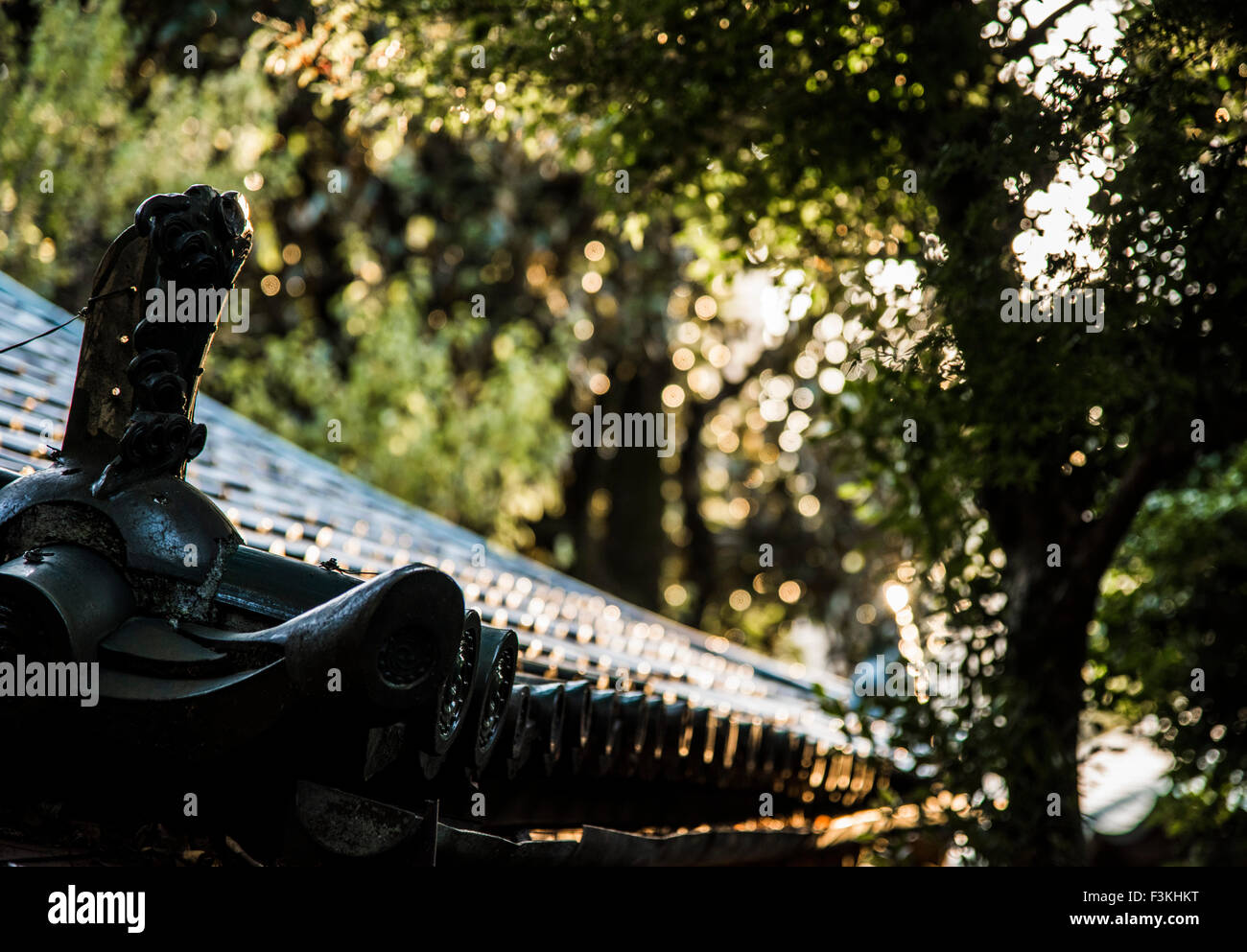 Hanazono Inari Shrine,Ueno Park,Taito-Ku,Tokyo,Japan Stock Photo - Alamy