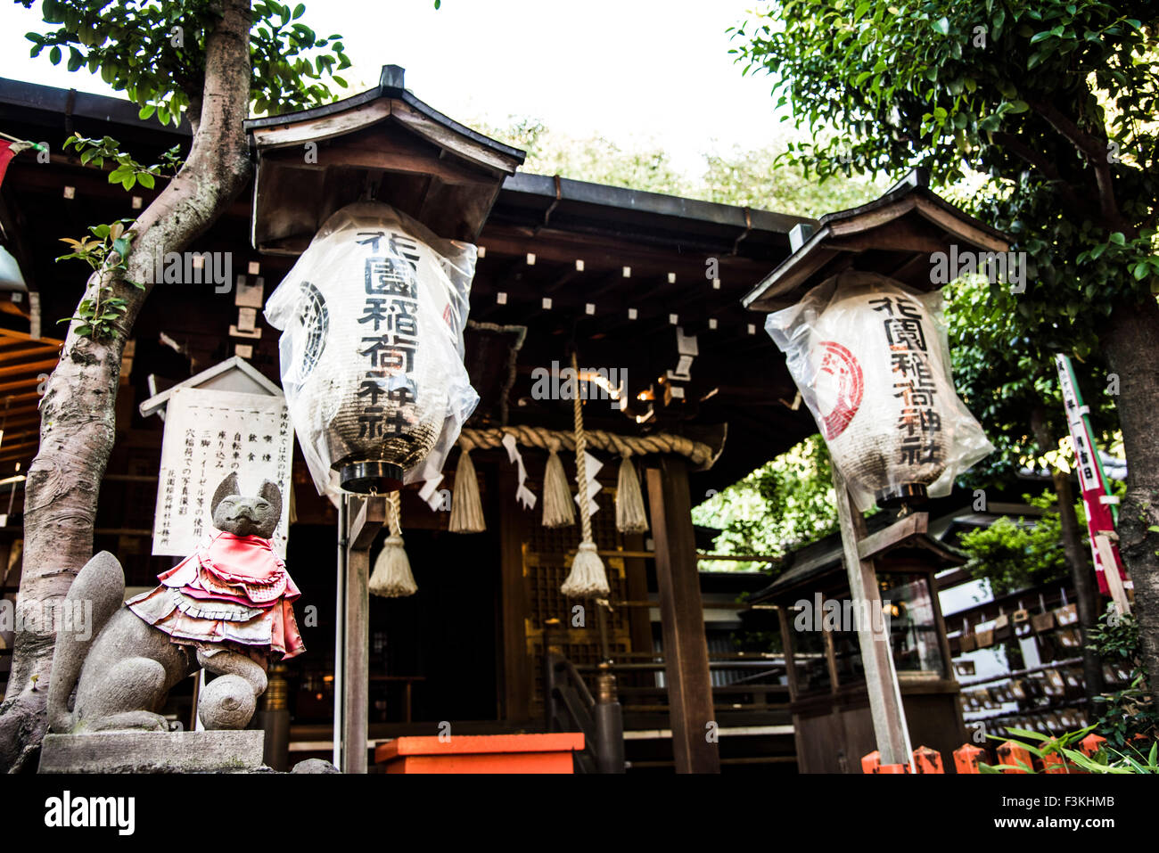 Hanazono Inari Shrine,Ueno Park,Taito-Ku,Tokyo,Japan Stock Photo - Alamy